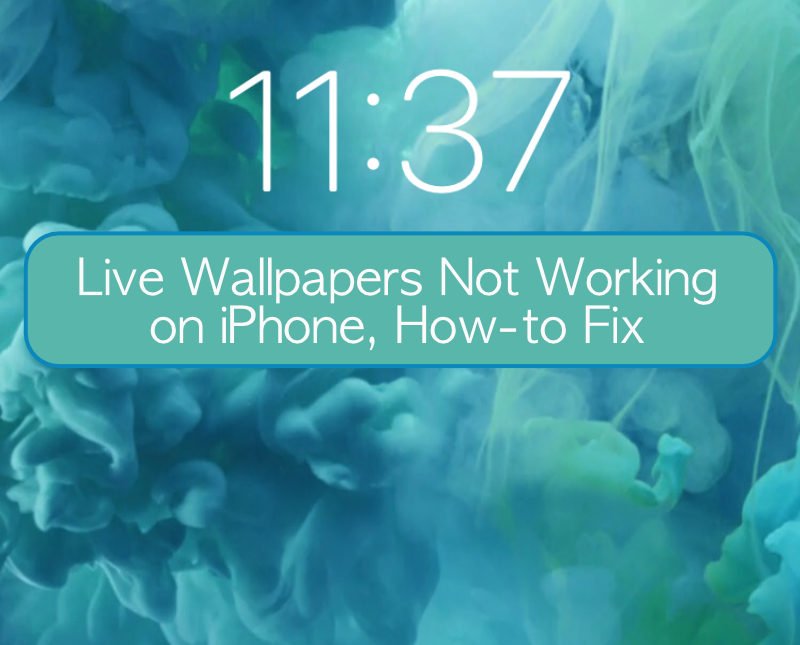 Live Wallpaper Iphone Not Working - 800x645 Wallpaper - teahub.io