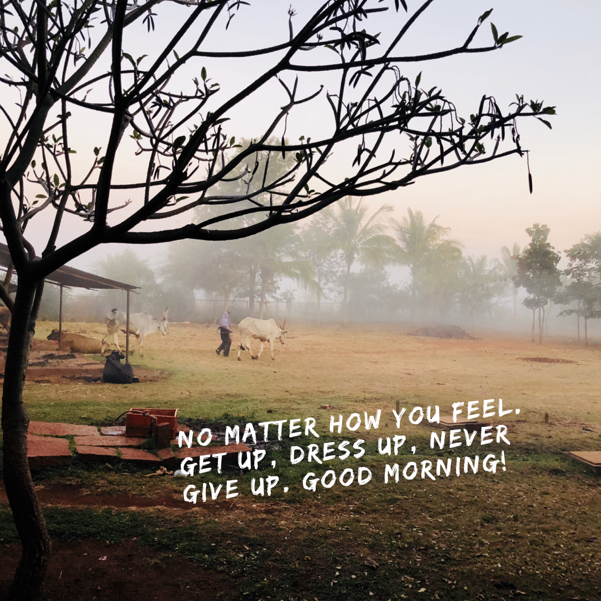 Good Morning Wallpaper - Good Morning Goa - 2048x2048 Wallpaper - teahub.io