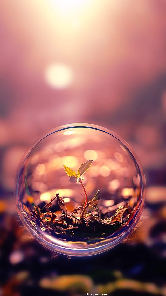 Pretty Bubbles - 640x1136 Wallpaper - teahub.io