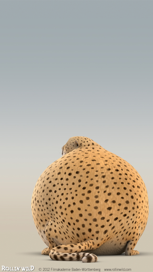 Rollin Wild Animals - 640x1136 Wallpaper - teahub.io