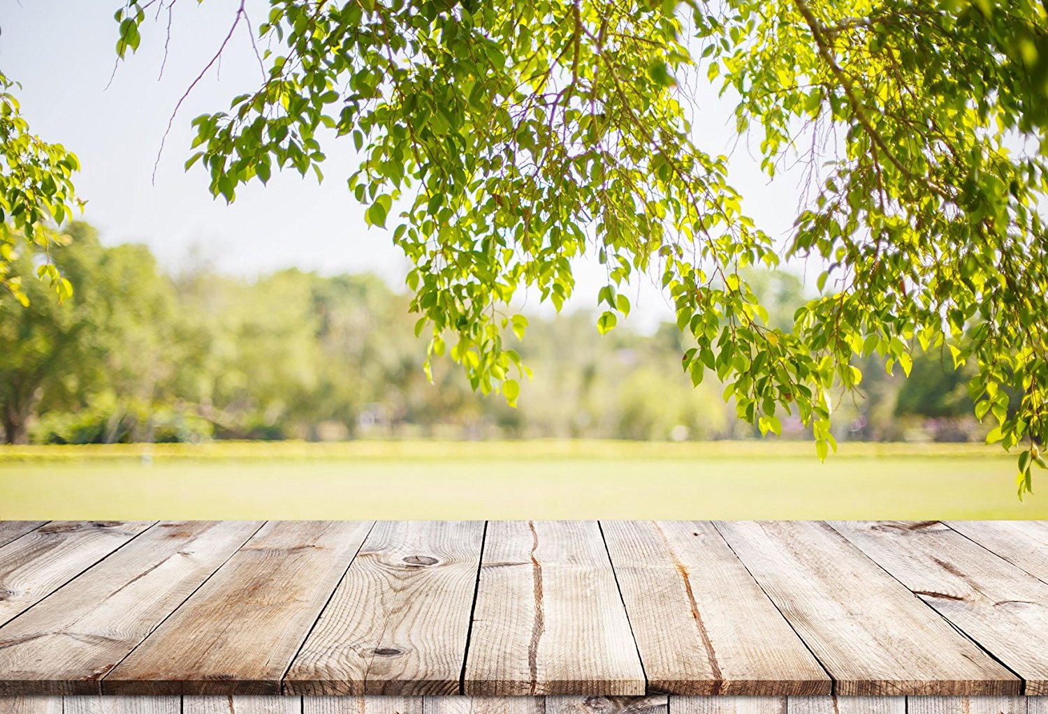 Background Image For Photography - 1500x1023 Wallpaper - teahub.io