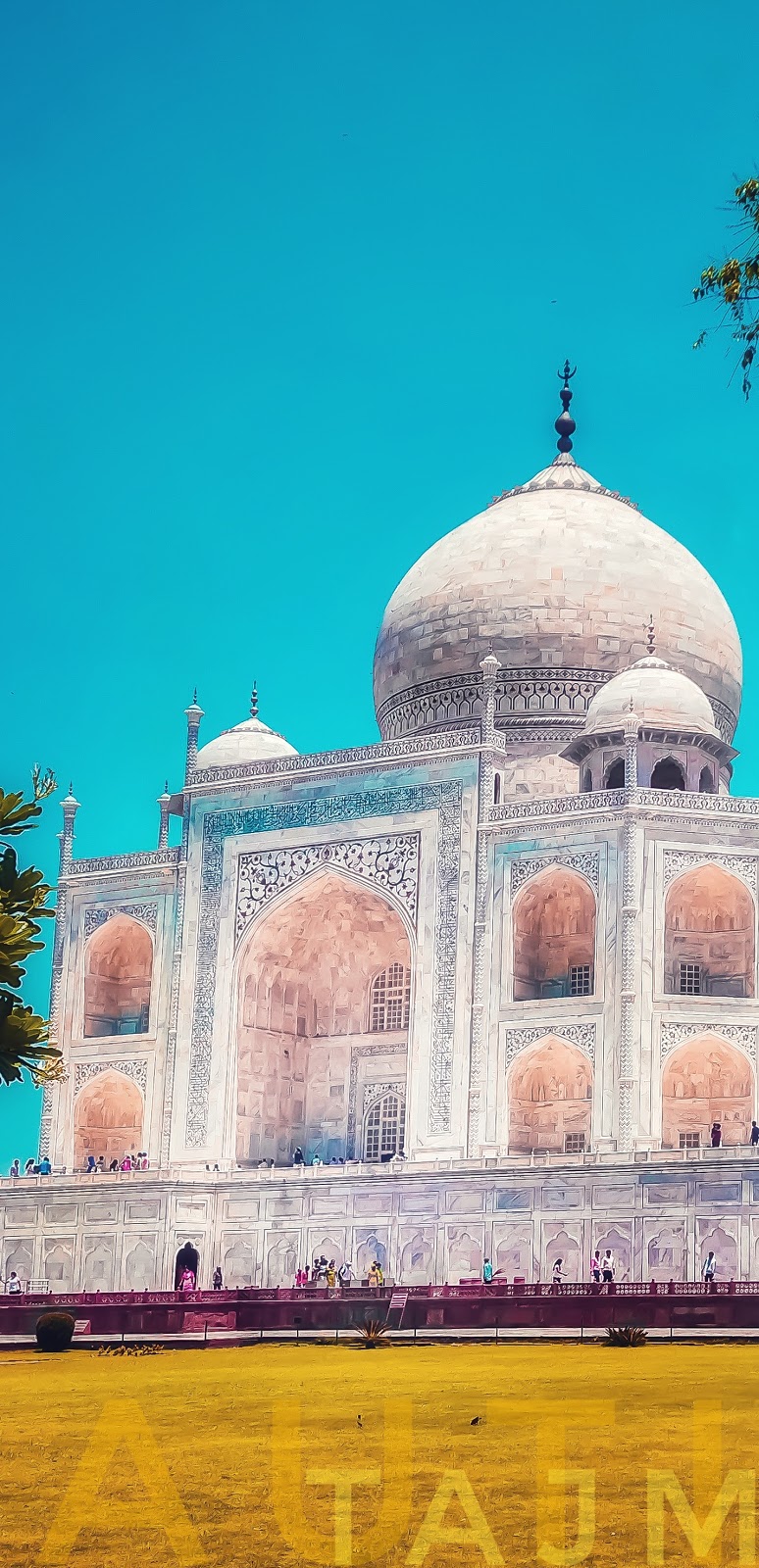 Dome - 774x1600 Wallpaper - teahub.io