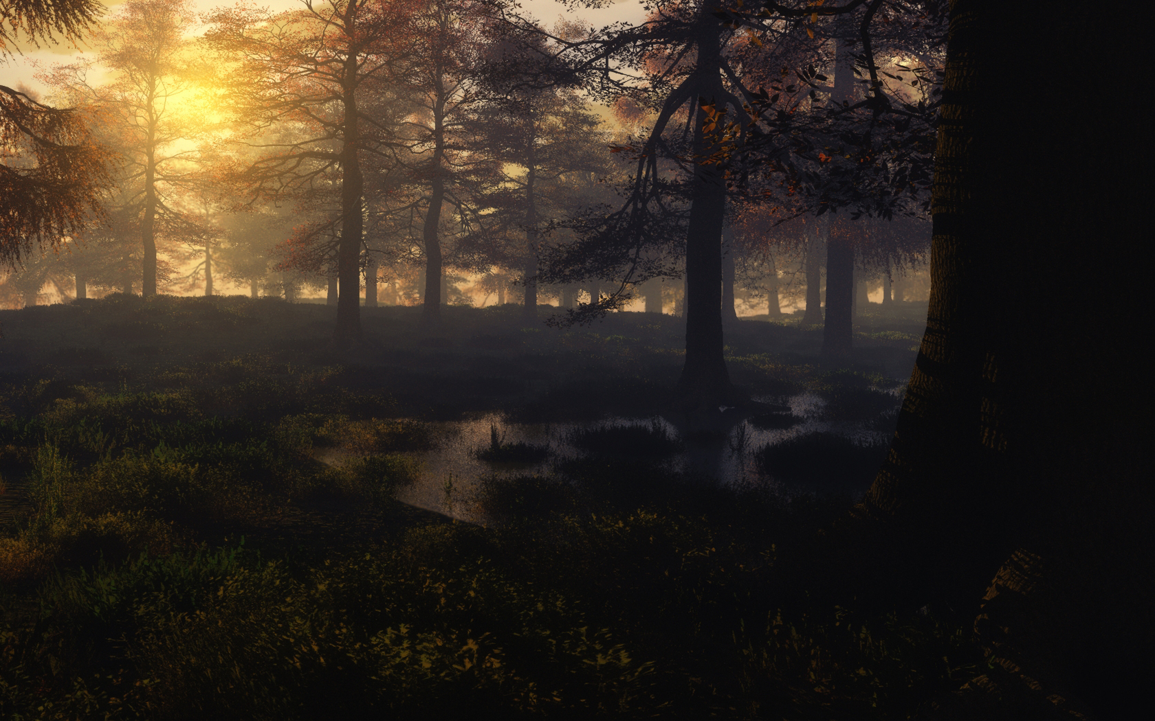 Mist Wallpapers 4k - 1680x1050 Wallpaper - teahub.io