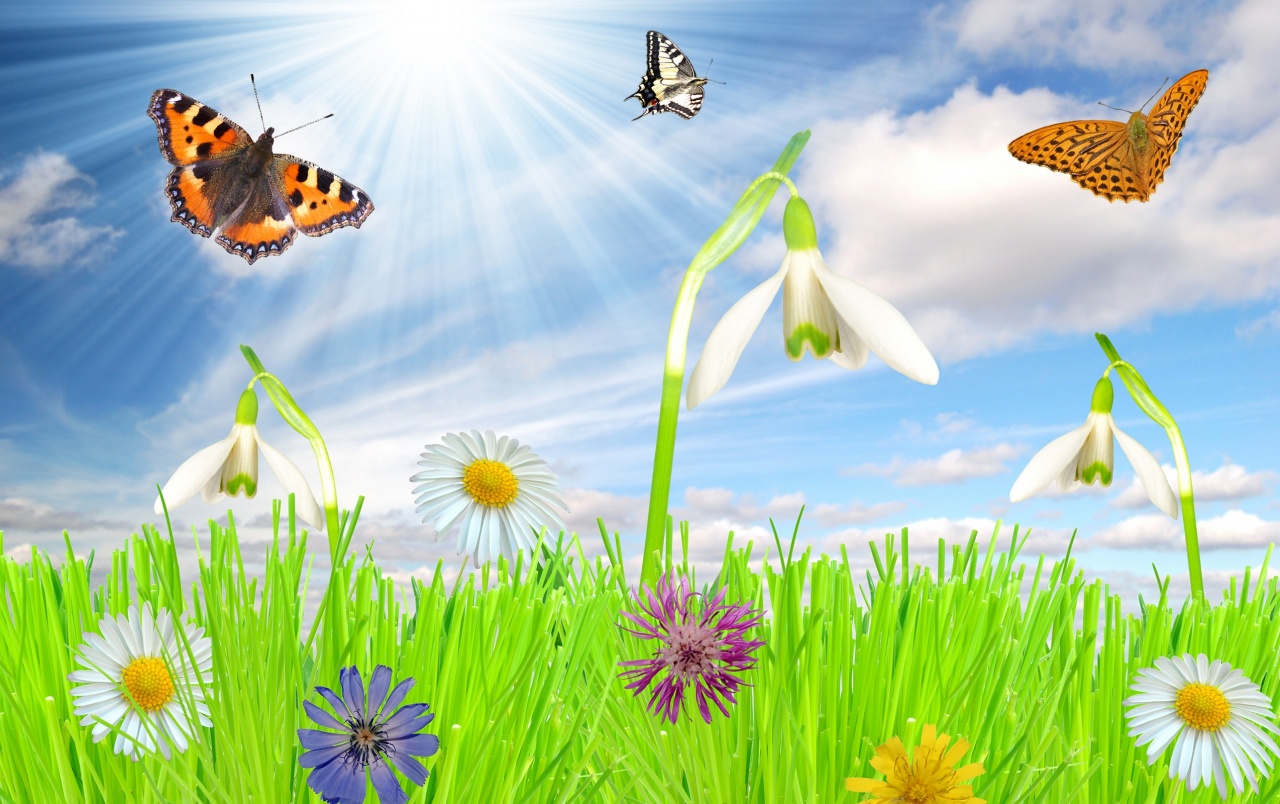 Happy Spring Wallpapers - Animated Images Of Spring Season - 1280x804 ...