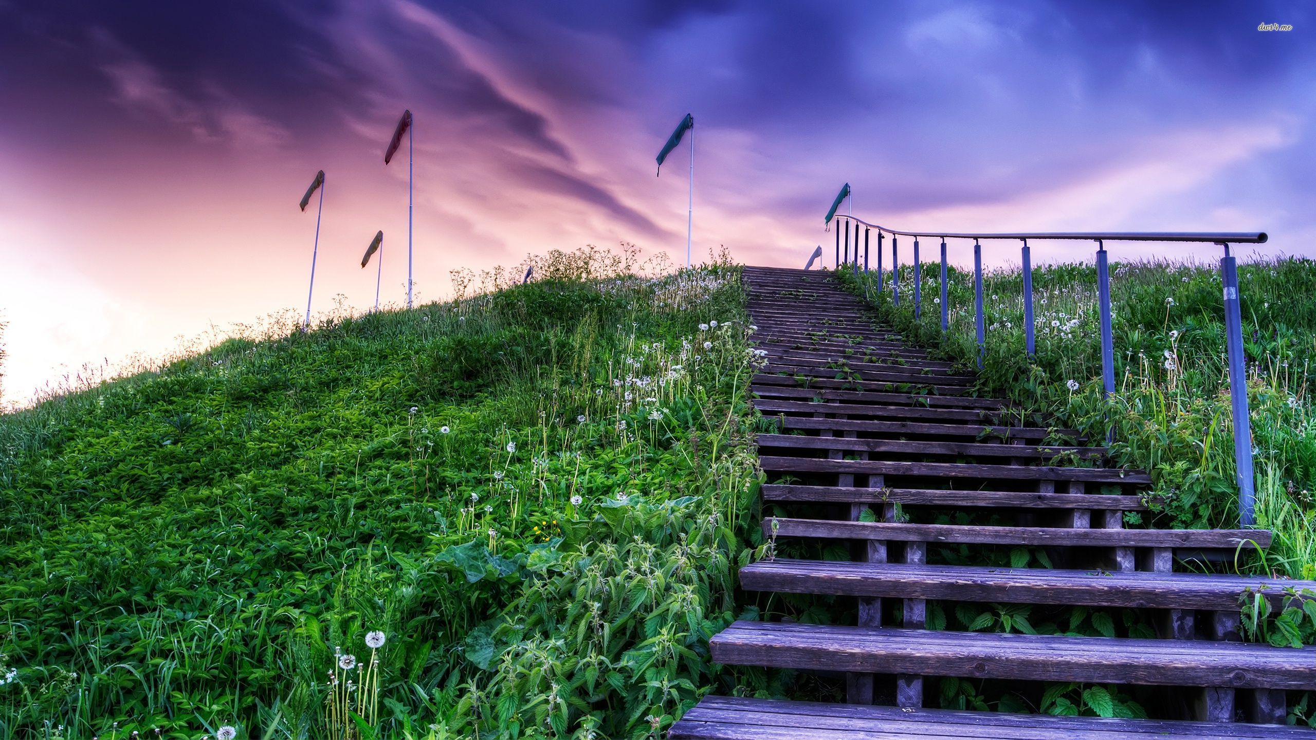 Steps Wallpaper Hd - 2560x1440 Wallpaper - teahub.io