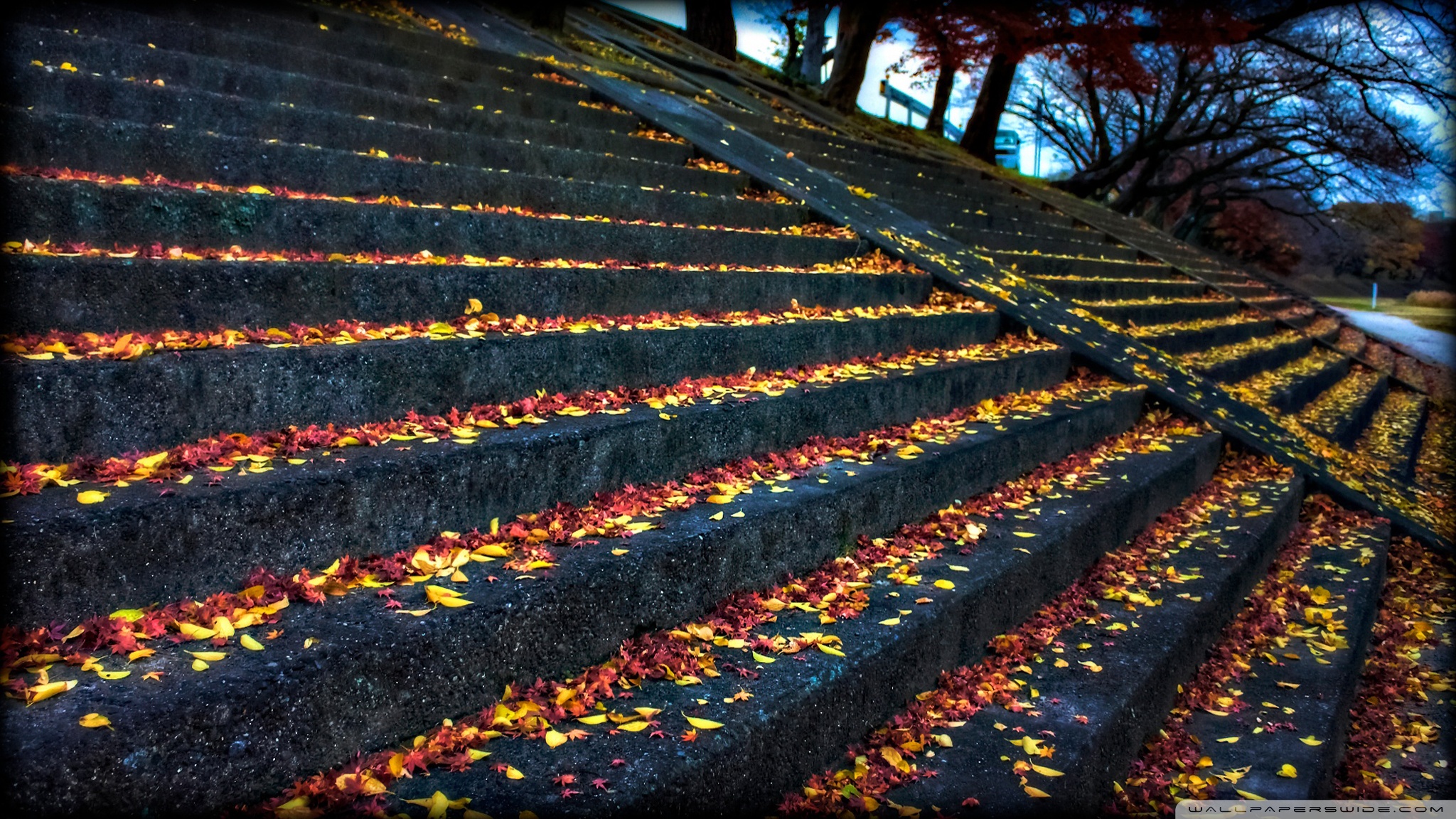 Steps Hd - 2048x1152 Wallpaper - teahub.io