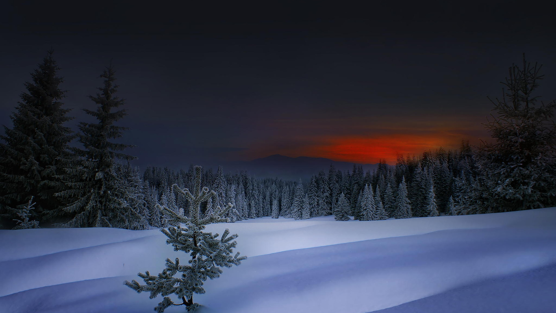 Sunset, Bulgaria, Rodopi, Winter In Rhodopi, Winter - Wallpaper ...
