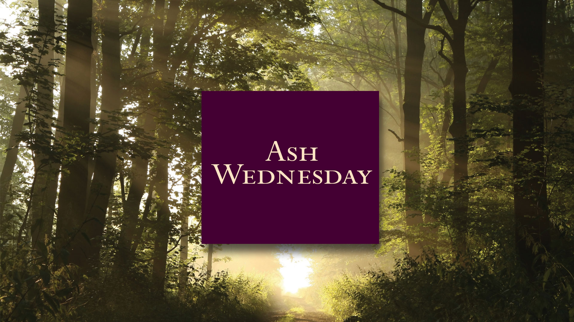 Lent - 1920x1080 Wallpaper - teahub.io