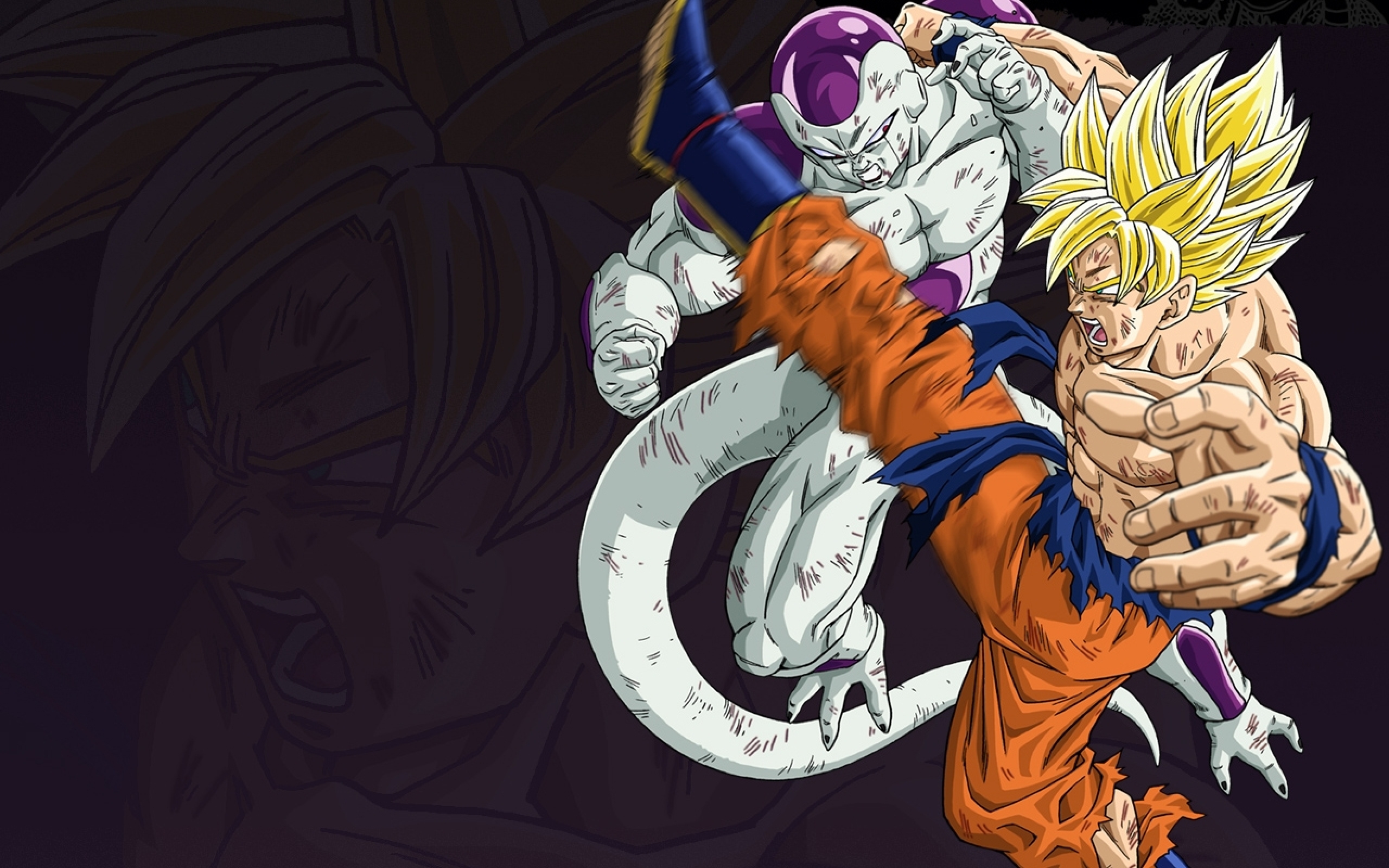 Cool Dragon Ball Z Wallpapers - 2560x1600 Wallpaper - teahub.io