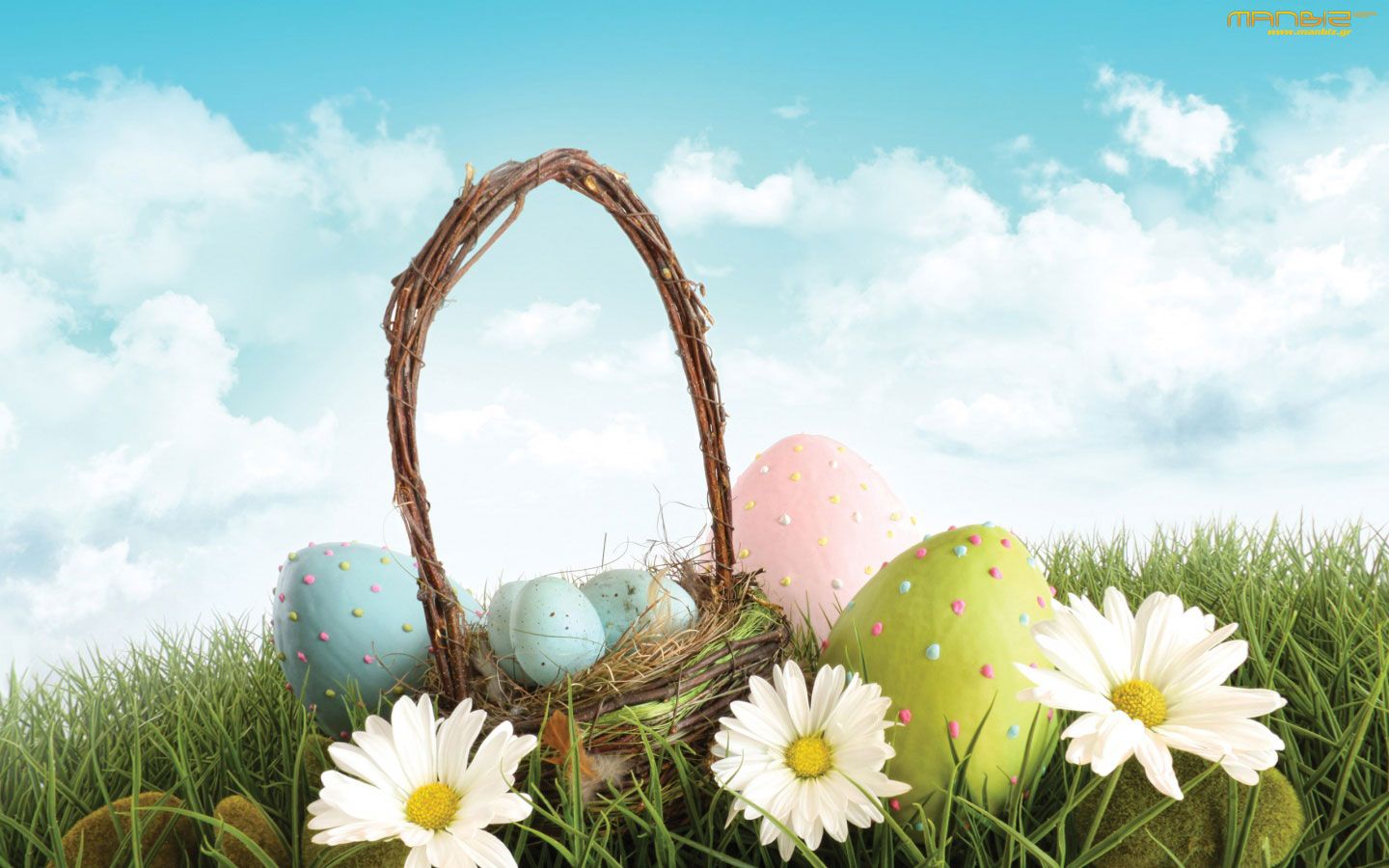 Easter Live Wallpaper - Grass Outdoor Background Baby Shoot - 1440x900 ...