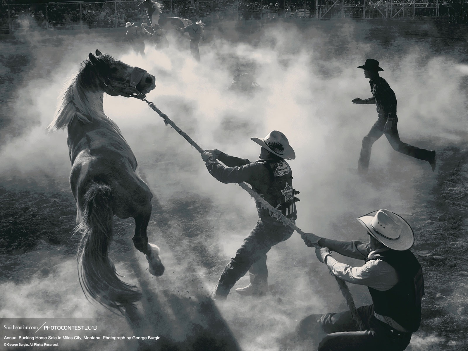 Rodeo Wallpapers - Black And White Rodeo - 1600x1200 Wallpaper - teahub.io