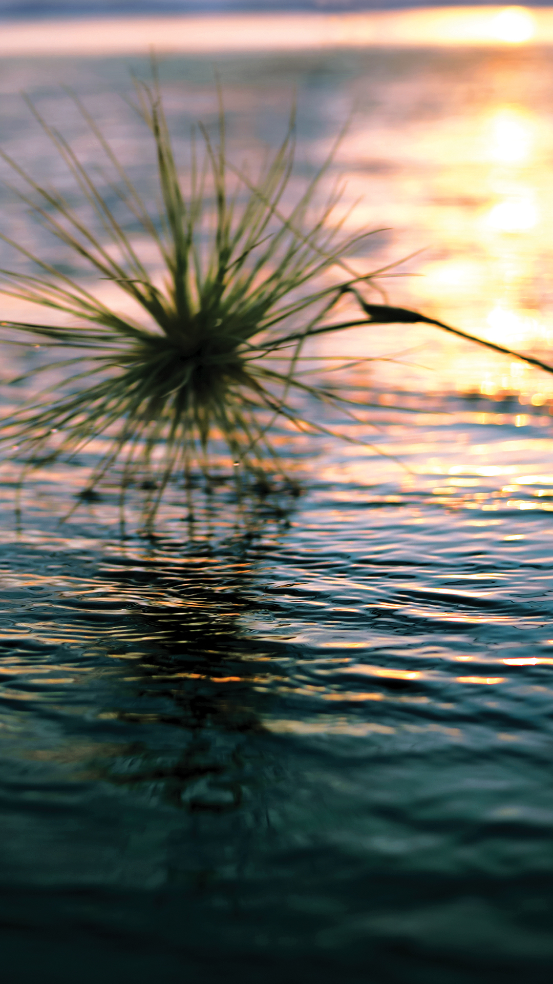 Download New Amber Lock Screen Wallpaper From Xperia Z - Lock Screen ...