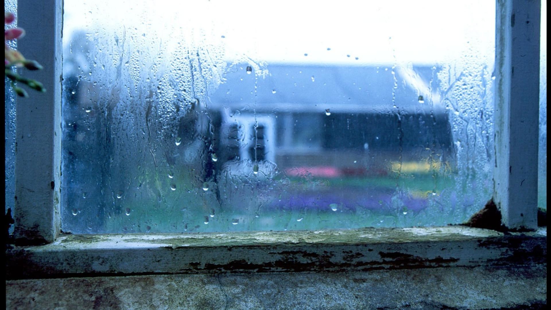 Raining Window Background