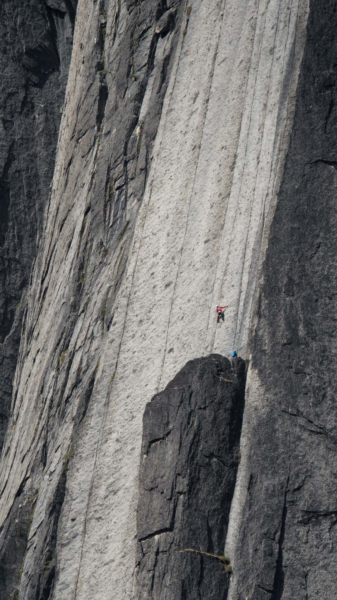 Default Wallpaper Windows 10 - 1080x1920 Wallpaper - teahub.io