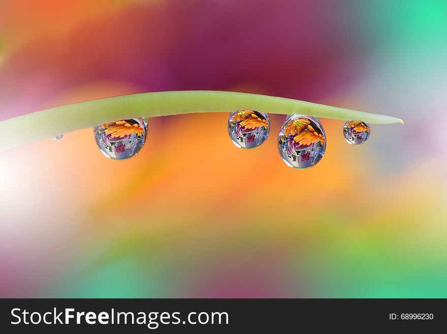 Unique Beautiful Nature Amazing - 880x657 Wallpaper - teahub.io