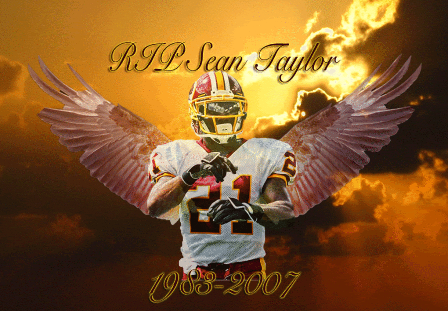 Sean Taylor Wallpaper Rip - 900x625 Wallpaper - teahub.io