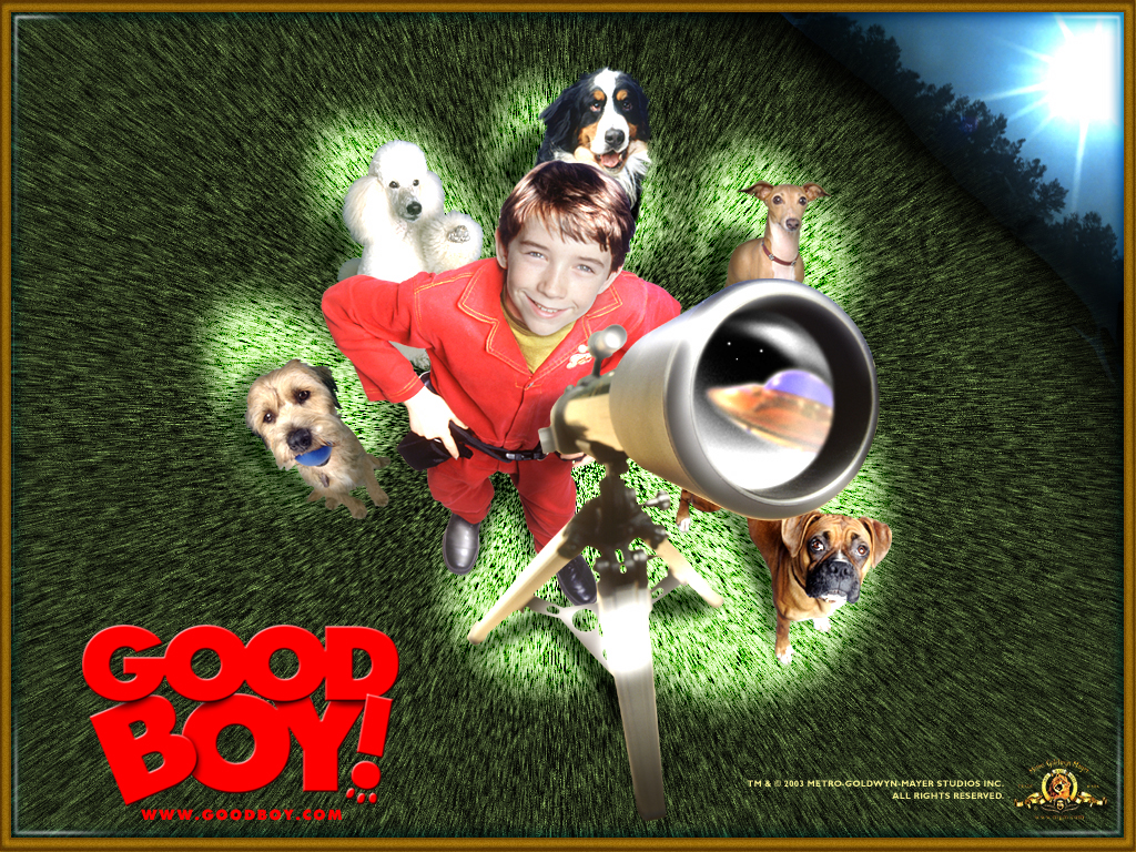Good Boy Wallpaper - 1024x768 Wallpaper - teahub.io