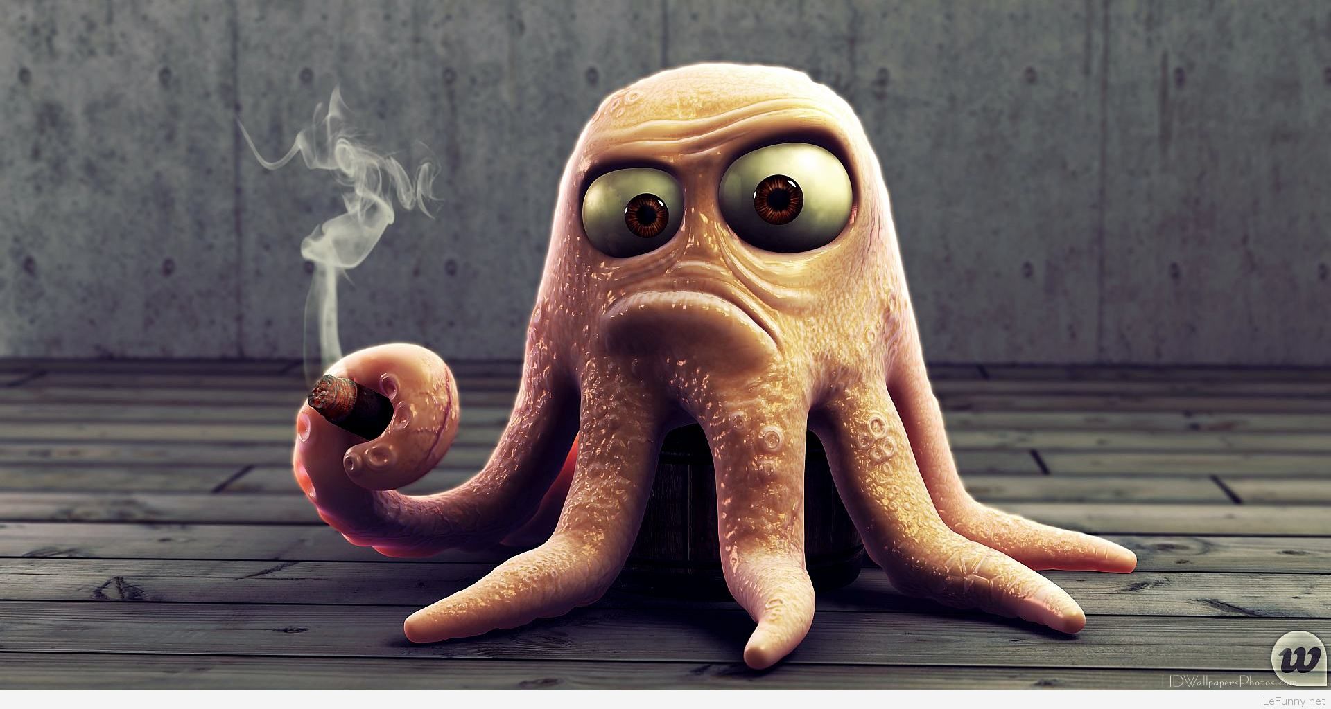 Best Funny Wallpaper In The World - 1920x1024 Wallpaper - teahub.io