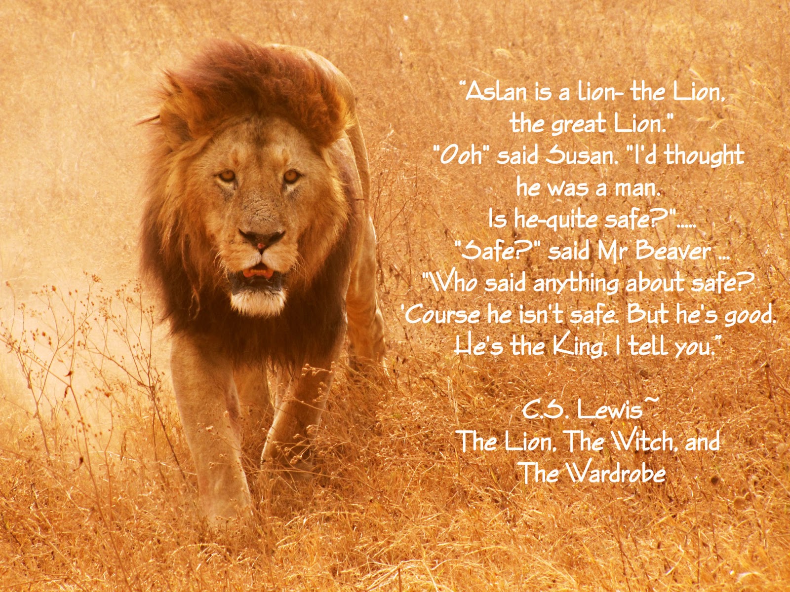 Image Of Aslan Narnia - Lion Of Judah Fighting Our Battles - 1600x1200 ...