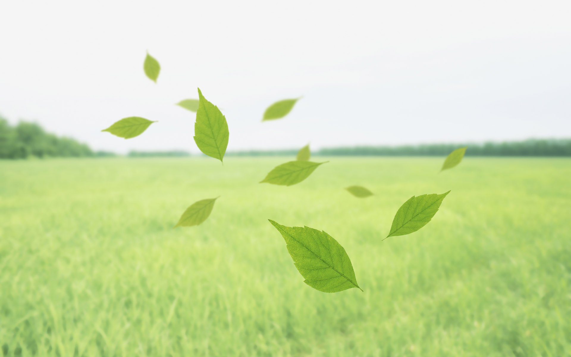 Wind Wallpapers, Hd Widescreen - Spring Wind - 1920x1200 Wallpaper ...