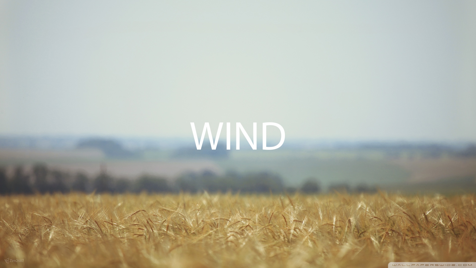 Wind Wallpaper Hd - 1920x1080 Wallpaper - teahub.io