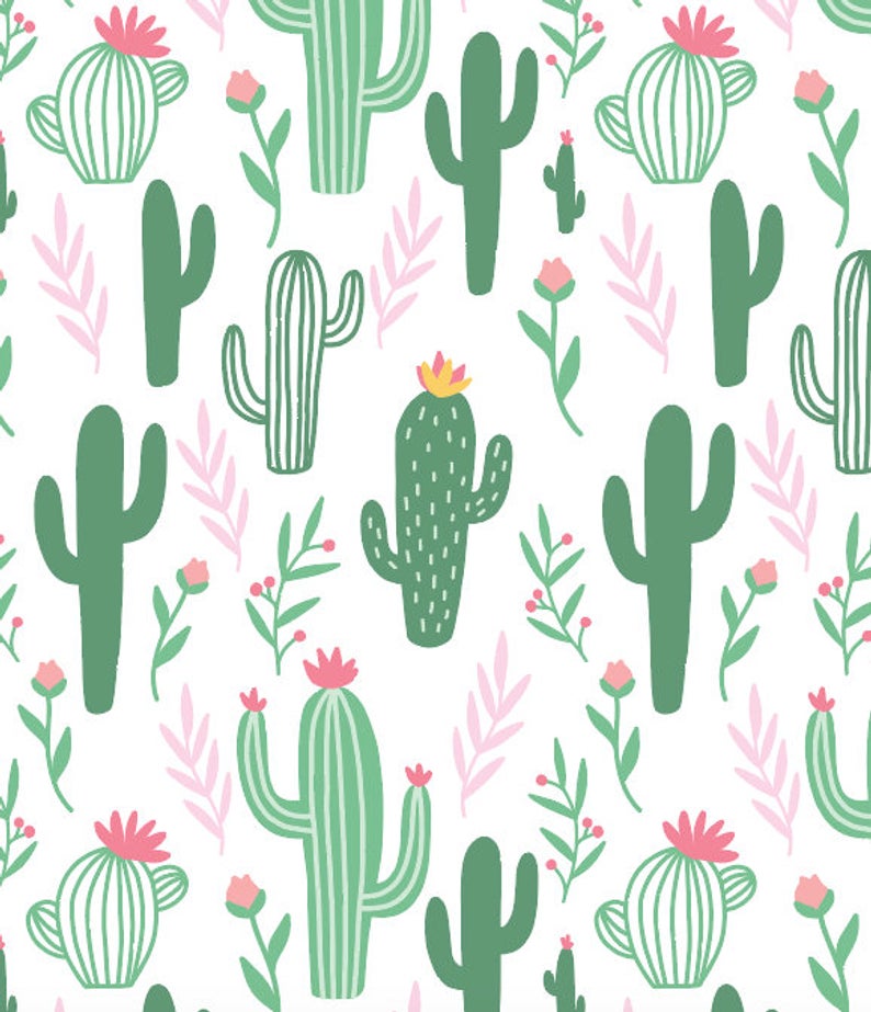 Cactus Wallpaper - Vsco Cactus - 794x923 Wallpaper - teahub.io