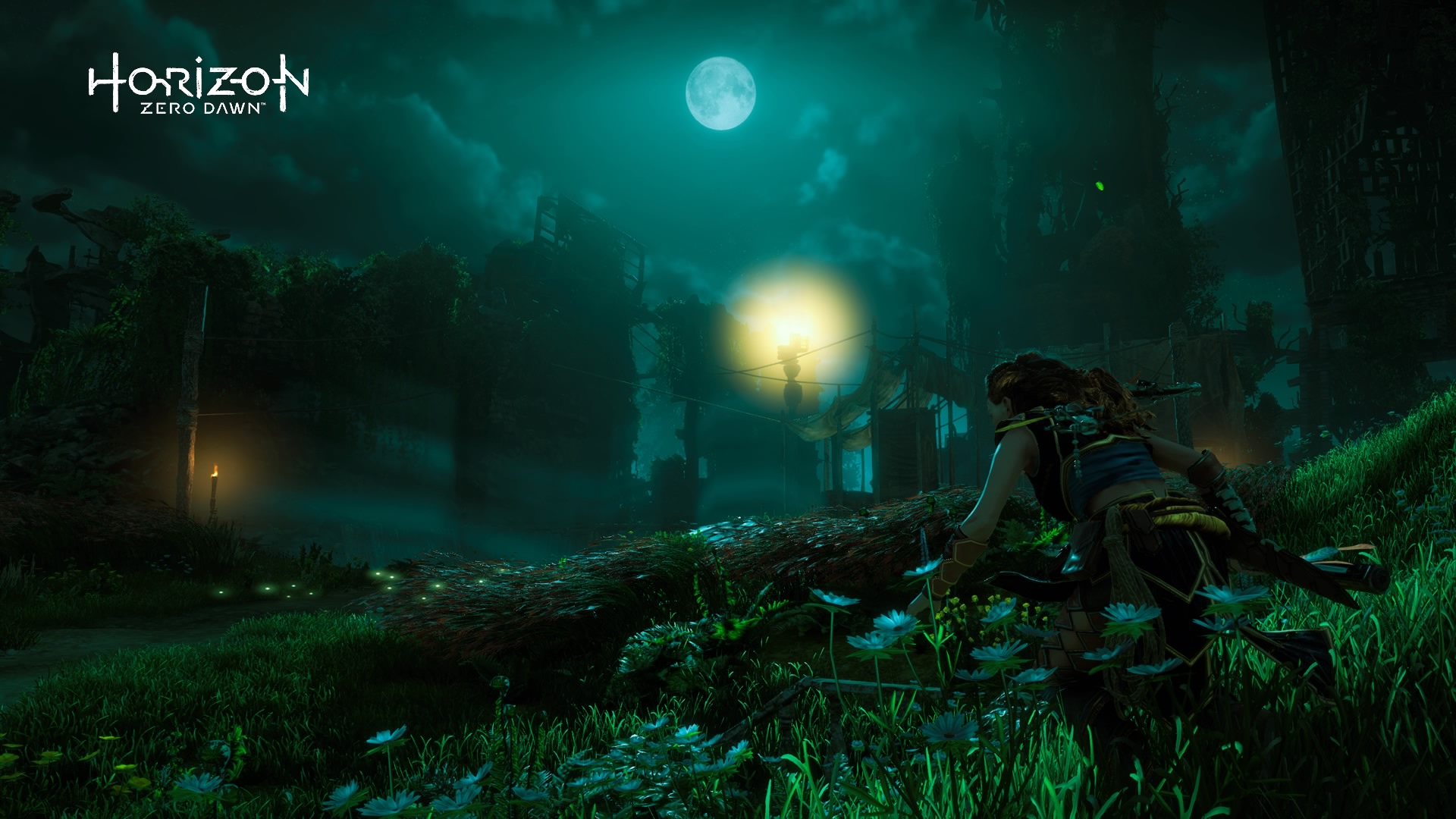 Horizon Zero Dawn Night Time - 1920x1080 Wallpaper - teahub.io