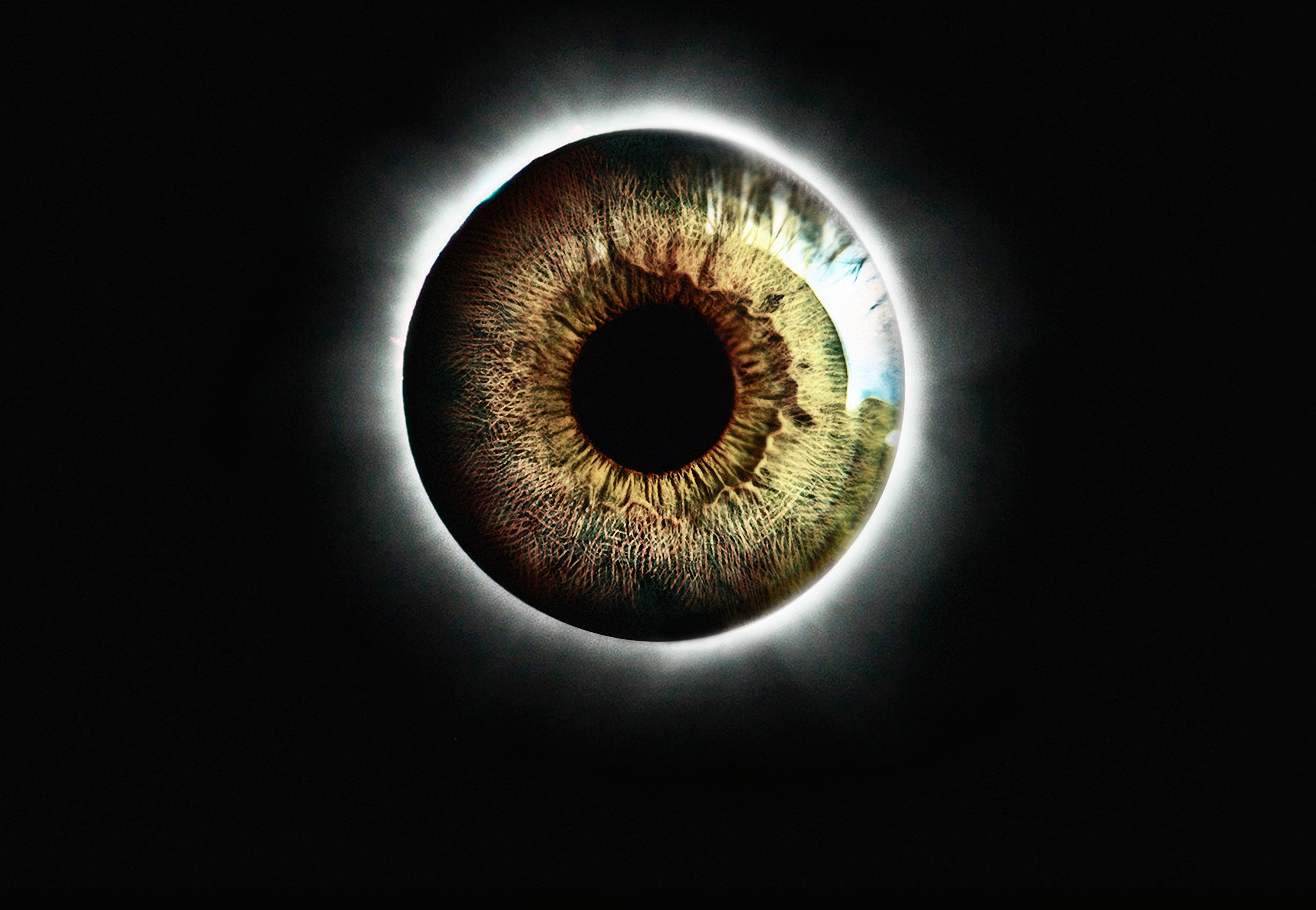 Wallpaper Eye, Pupil, Realistic, Green, Round - Pupil - 5600x3872 ...