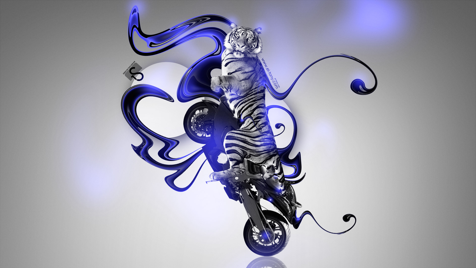 Tiger Logo Hd - 1920x1080 Wallpaper - teahub.io