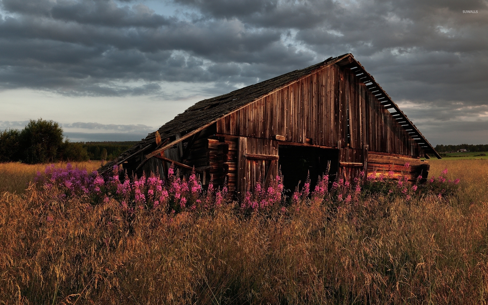 Old Barn - 1920x1200 Wallpaper - teahub.io