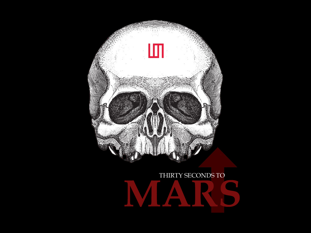 30 Stm - 30 Seconds To Mars Camiseta - 1024x768 Wallpaper - teahub.io