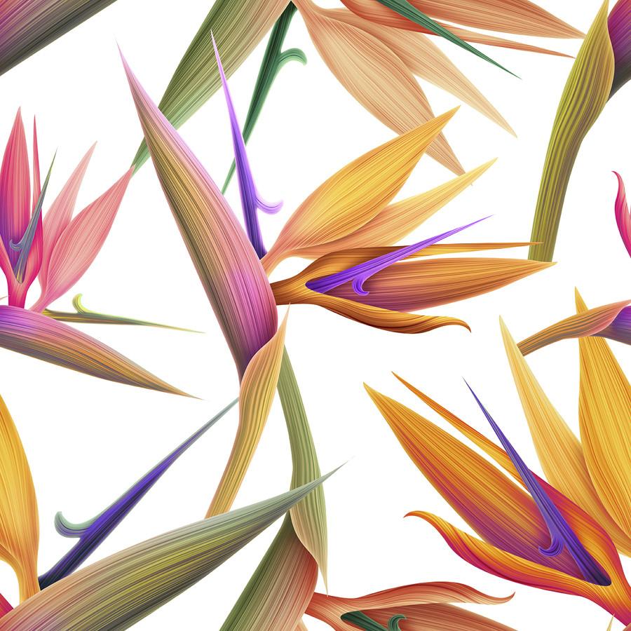 Art - 900x900 Wallpaper - teahub.io