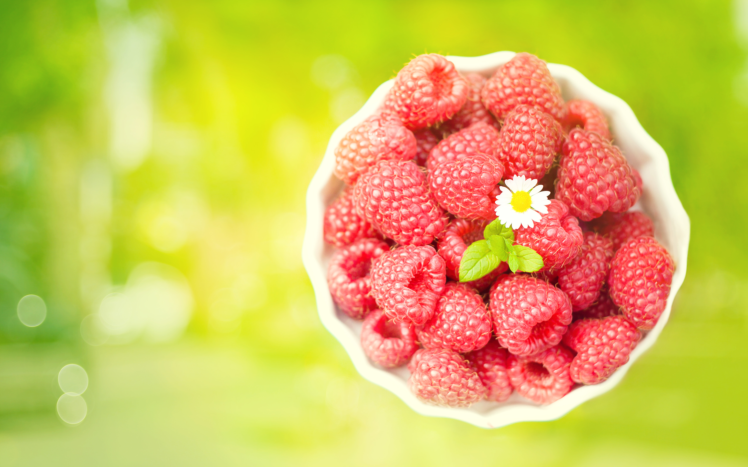 Raspberry Fruit Wallpaper - 2560x1600 Wallpaper - teahub.io