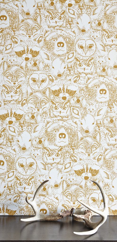 Chasing Paper Wild - 494x1024 Wallpaper - teahub.io