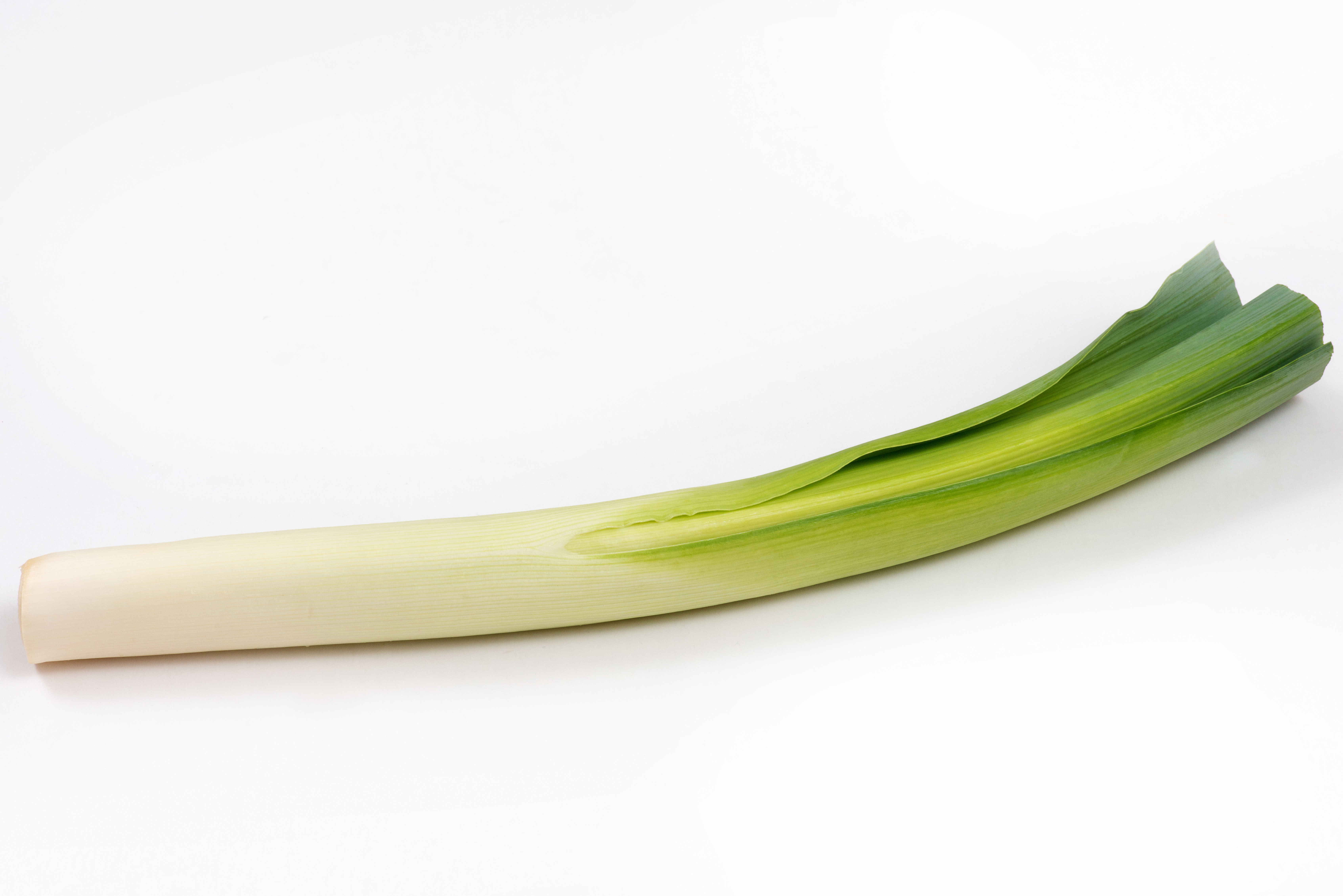 Leek Mini - Leek Vegetable - 6777x4523 Wallpaper - teahub.io