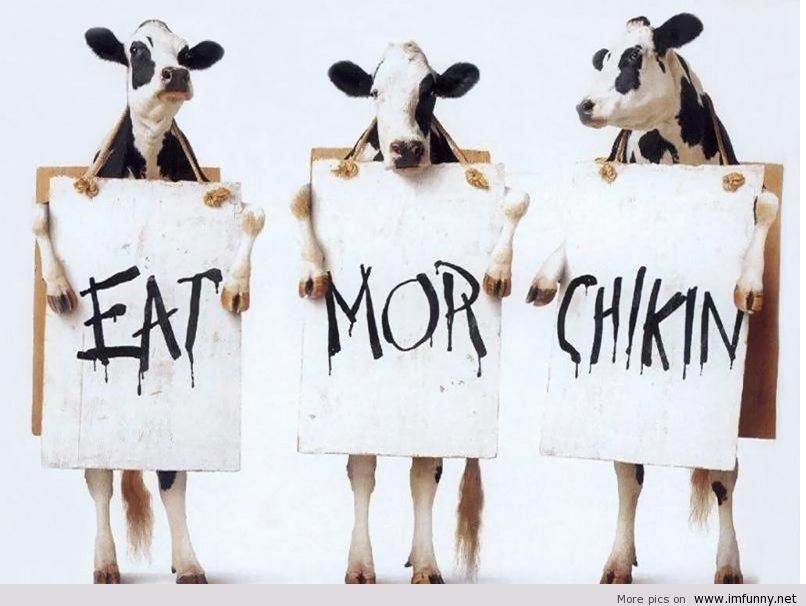 Eat More Chicken Advertisement - 806x606 Wallpaper - teahub.io