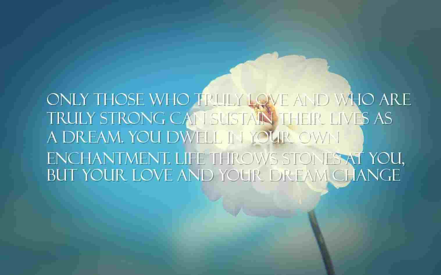 Short Quotes Wallpaper - Moth Orchid - 1517x948 Wallpaper - teahub.io