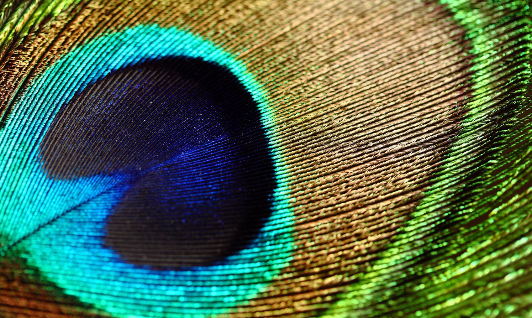 Unique Colorful Wallpaper Hd - 1697x1015 Wallpaper - teahub.io