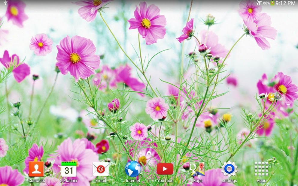 Sweet Flowers Wallpapers Free - 992x620 Wallpaper - teahub.io