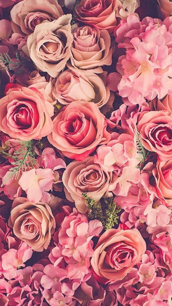 Flower Background For Edits - 564x1001 Wallpaper - teahub.io