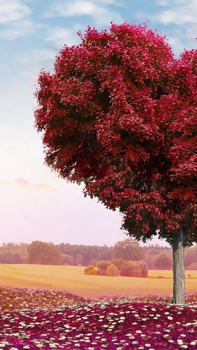 Beautiful Red Wallpaper For Iphone - 640x1136 Wallpaper - teahub.io