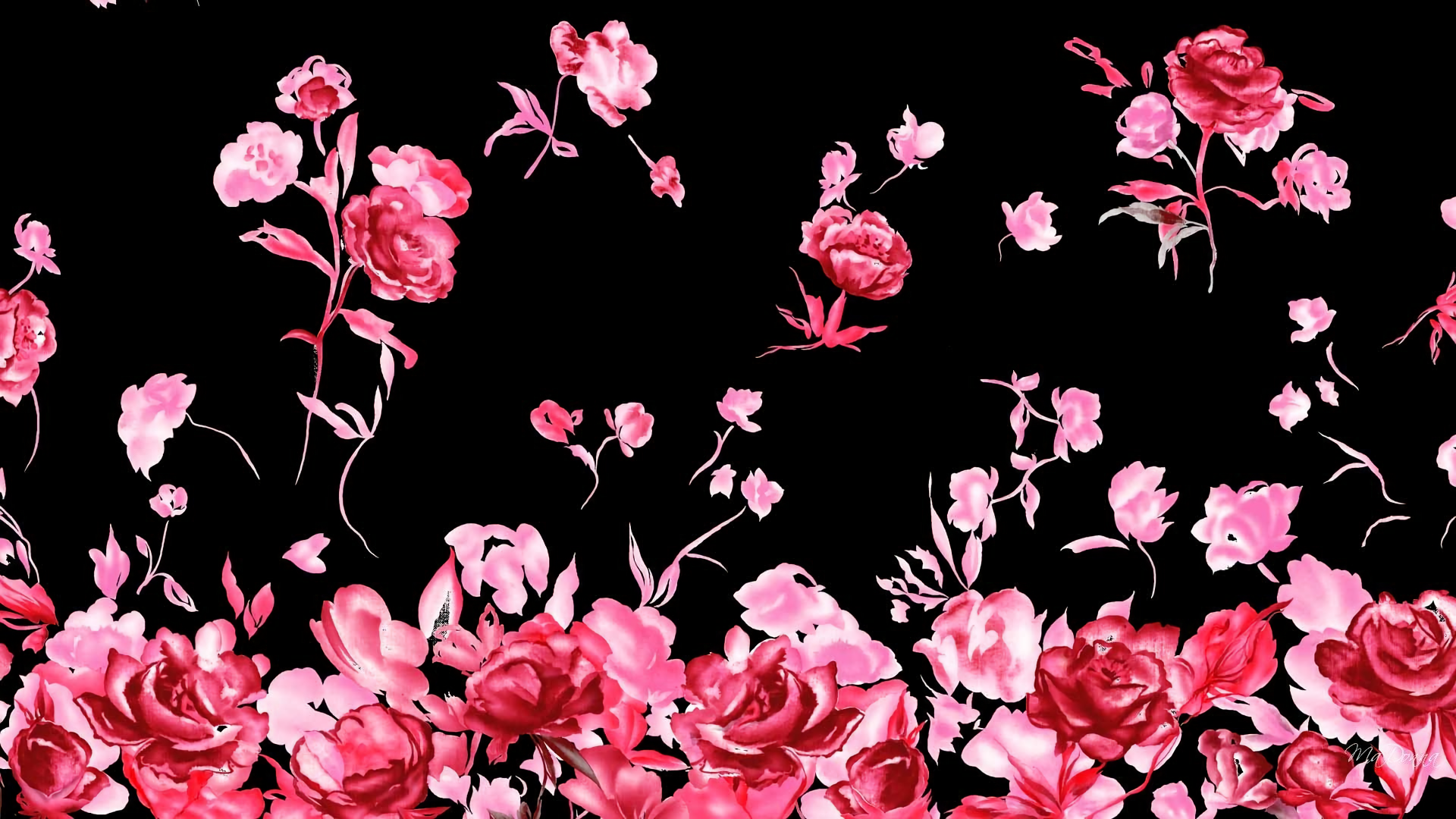 Skull And Rose Hd - 1920x1080 Wallpaper - teahub.io