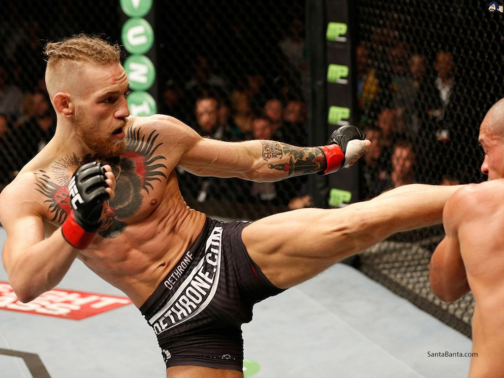 Conor Mcgregor - Conor Mcgregor Kick - 1024x768 Wallpaper - teahub.io