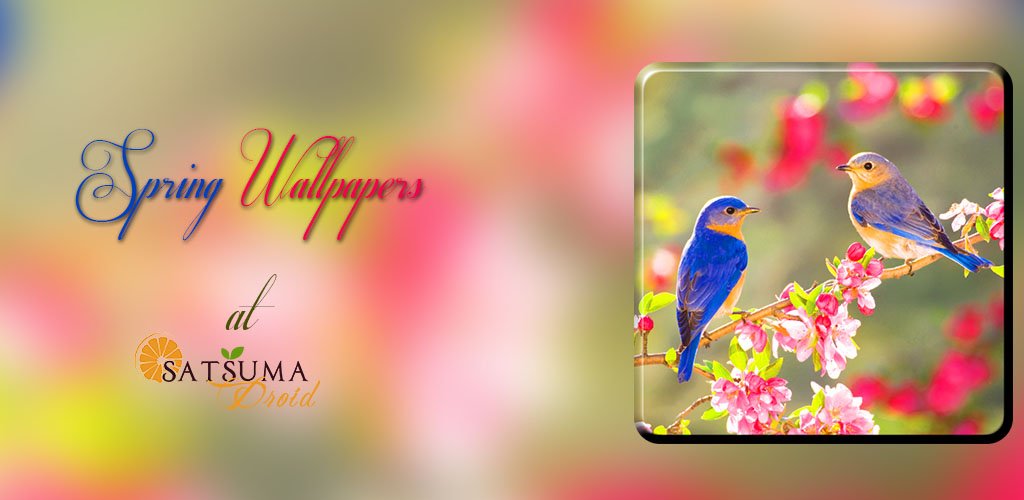 Live Spring - 1024x500 Wallpaper - teahub.io