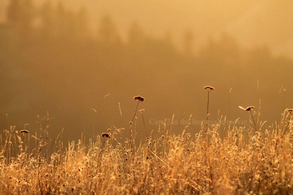 Anti Inspirational Backgrounds - 1024x682 Wallpaper - teahub.io