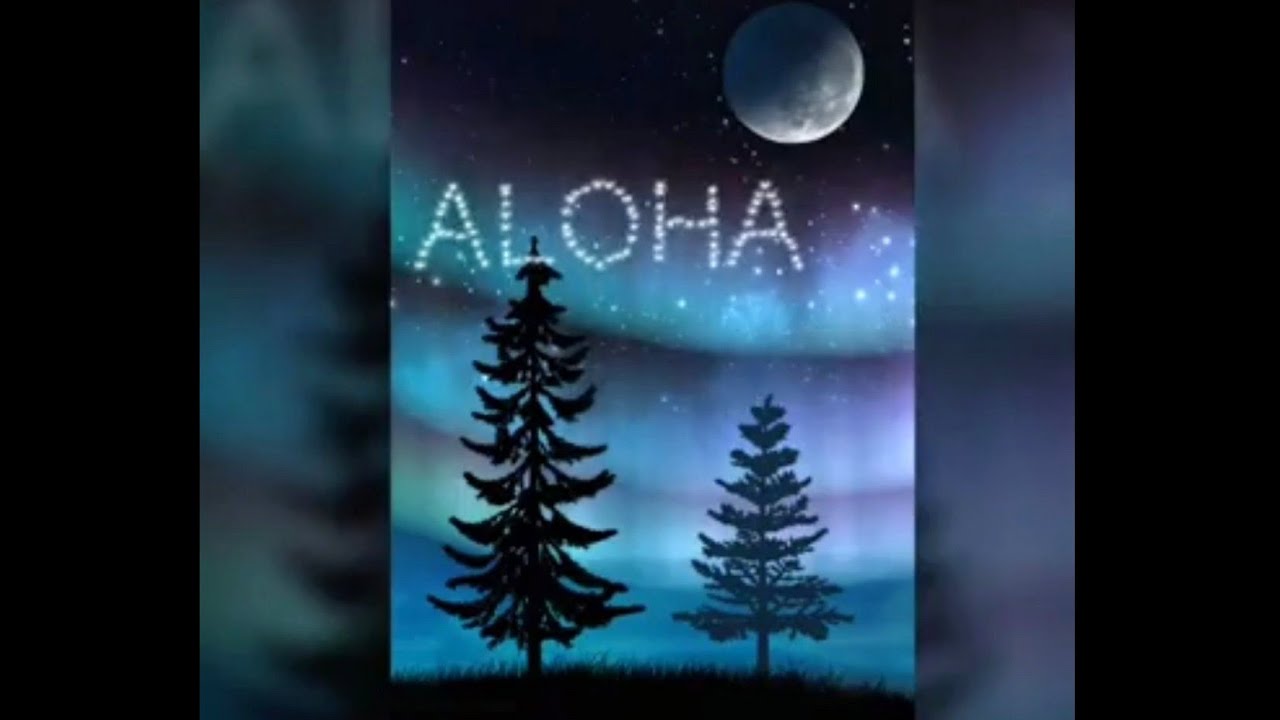 Christmas Tree - 1280x720 Wallpaper - teahub.io