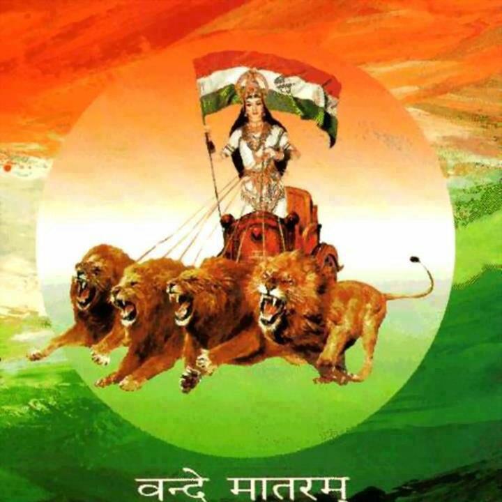 Indian Flag With Lion - 720x720 Wallpaper - teahub.io