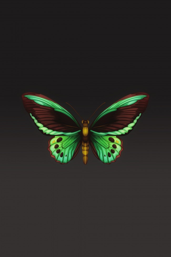Butterfly Design, Digital Art, Wings - Digital Art Butterfly - 650x975 ...