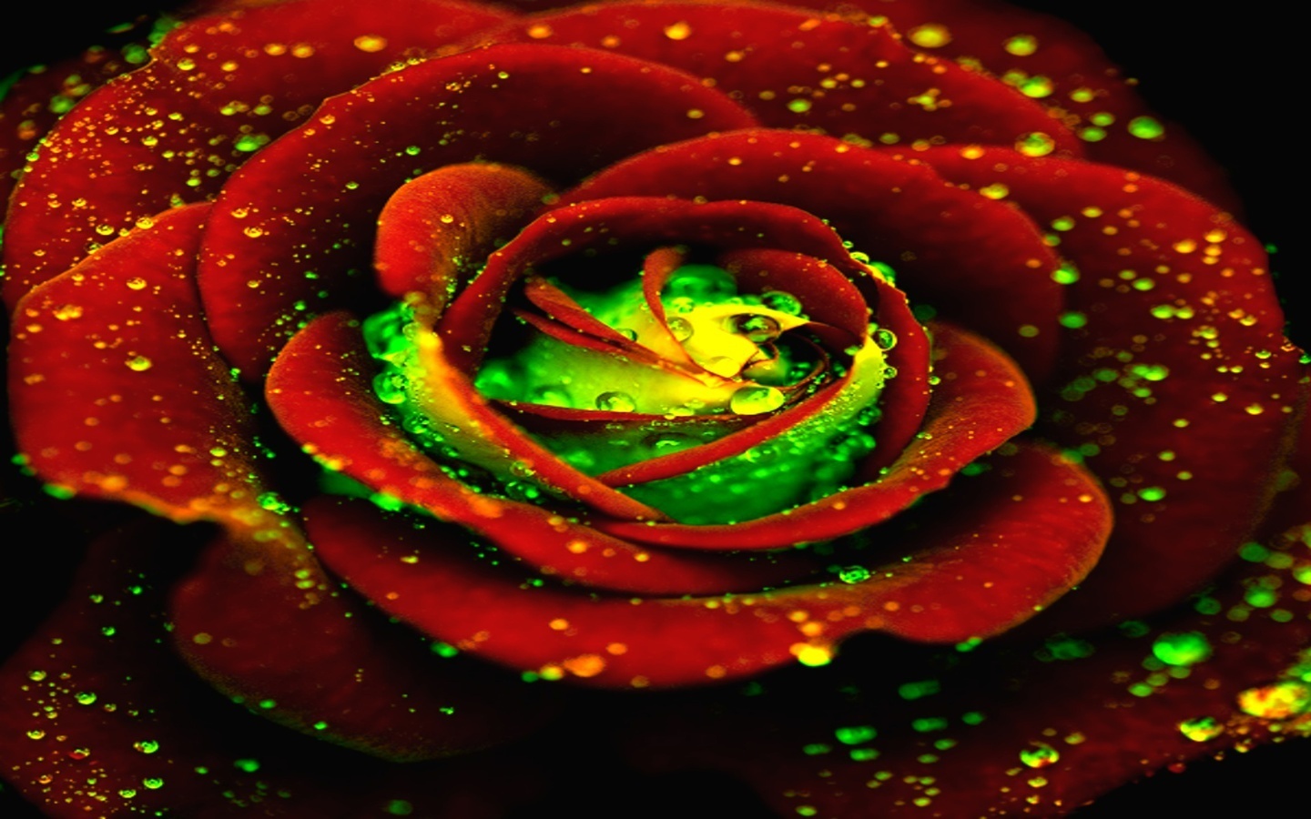Glowing Color - Colorful Wallpaper Full Hd Rose - 1440x900 Wallpaper ...