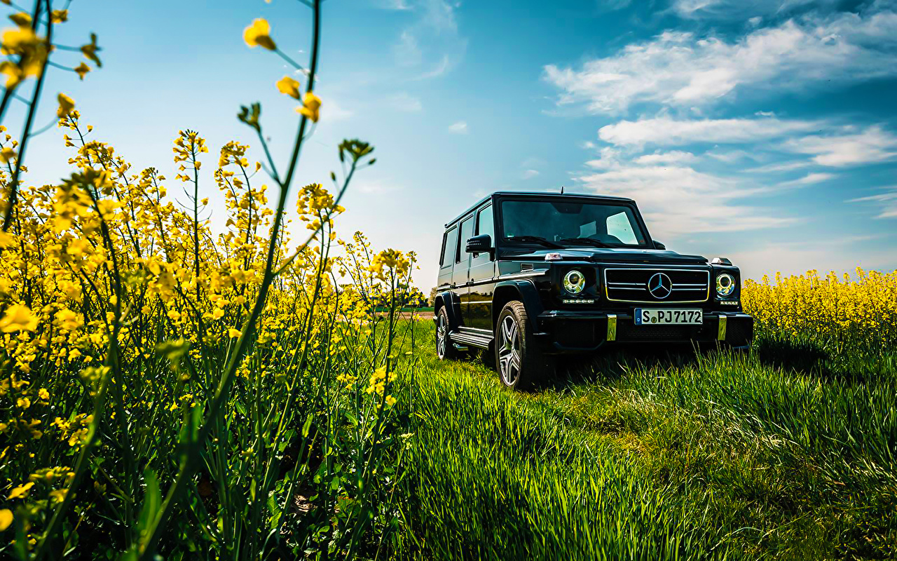 Mercedes Benz Flower - 1280x800 Wallpaper - teahub.io